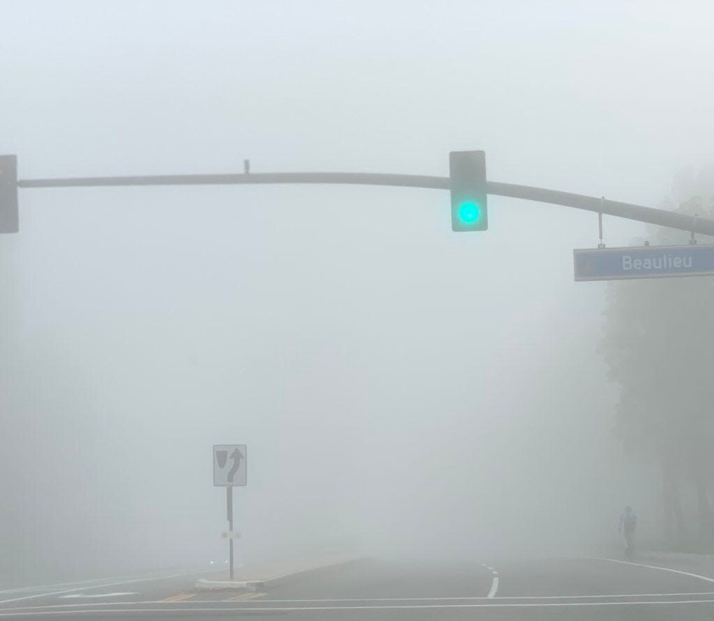 Investment Strategy: Driving Through Fog